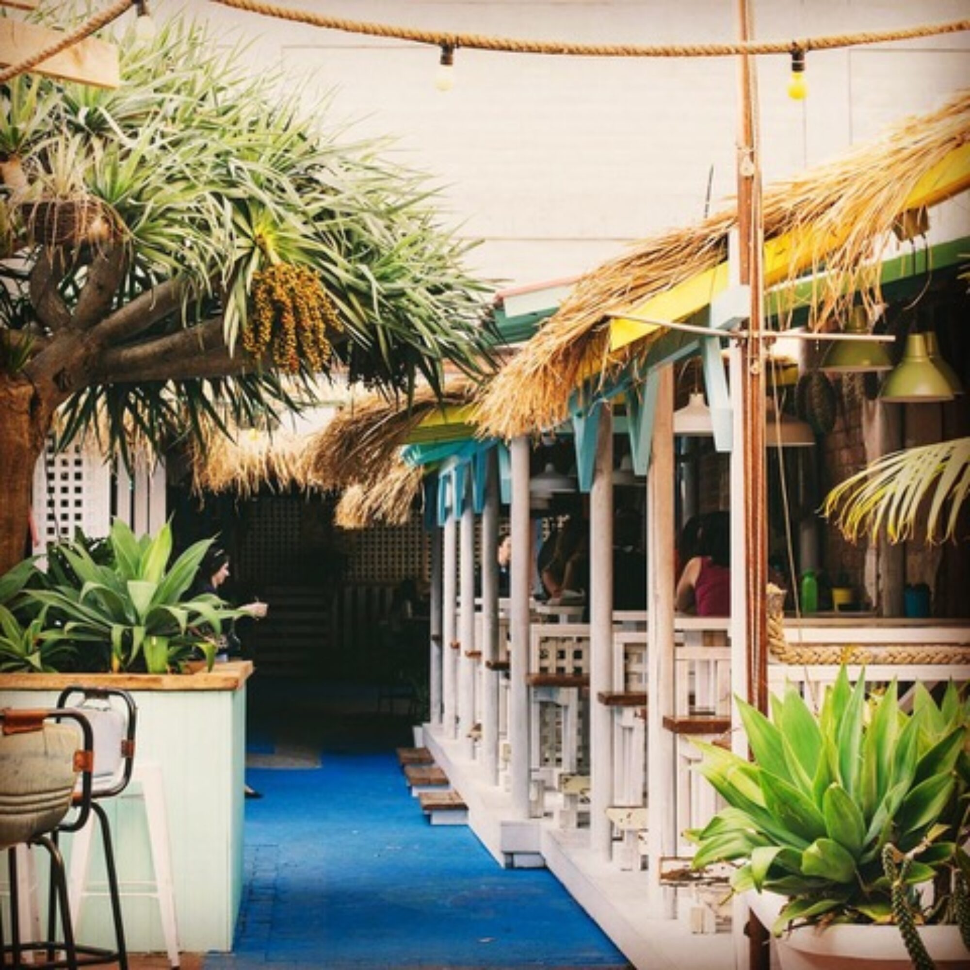 About - Roxies Garden