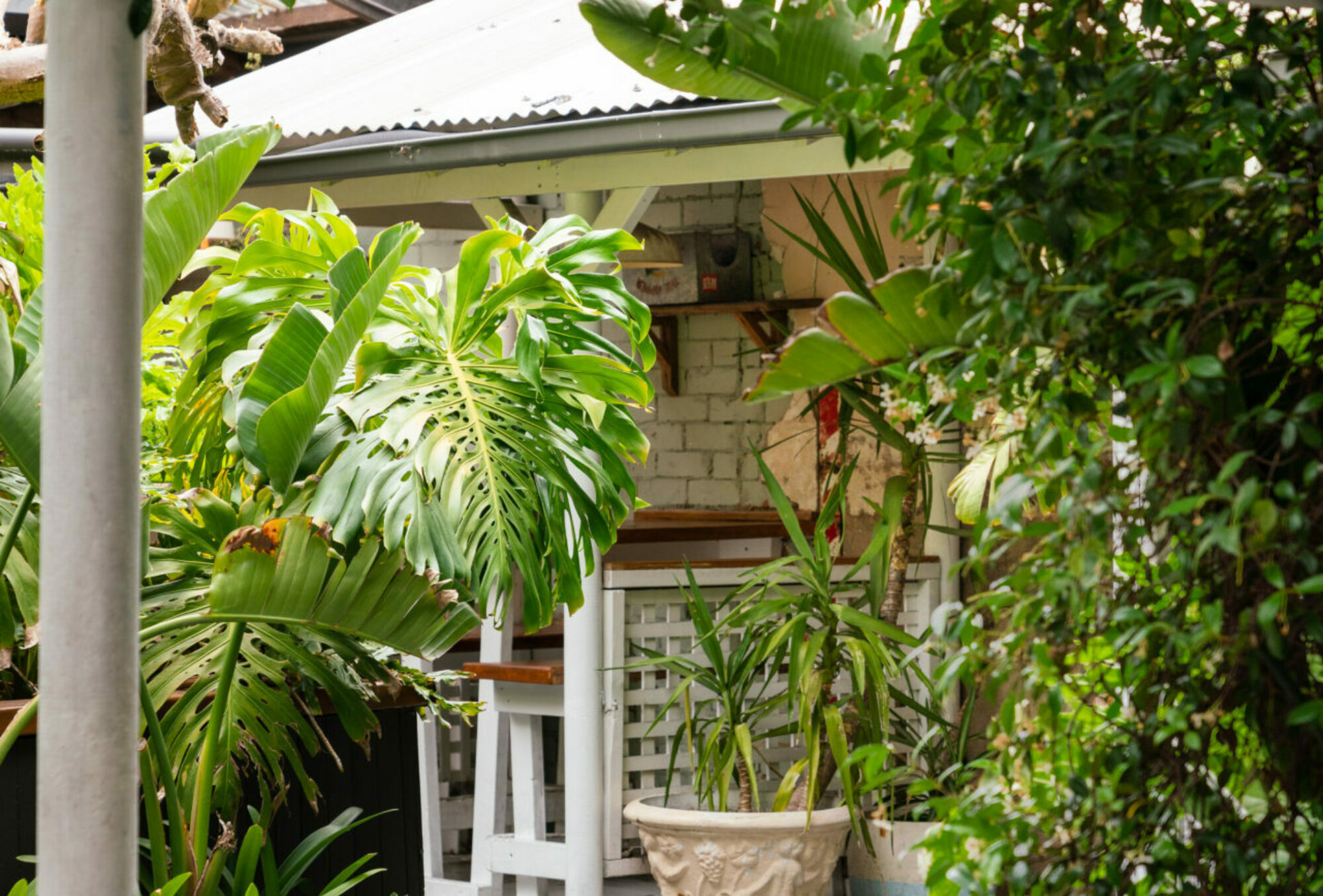 Home - Roxies Garden