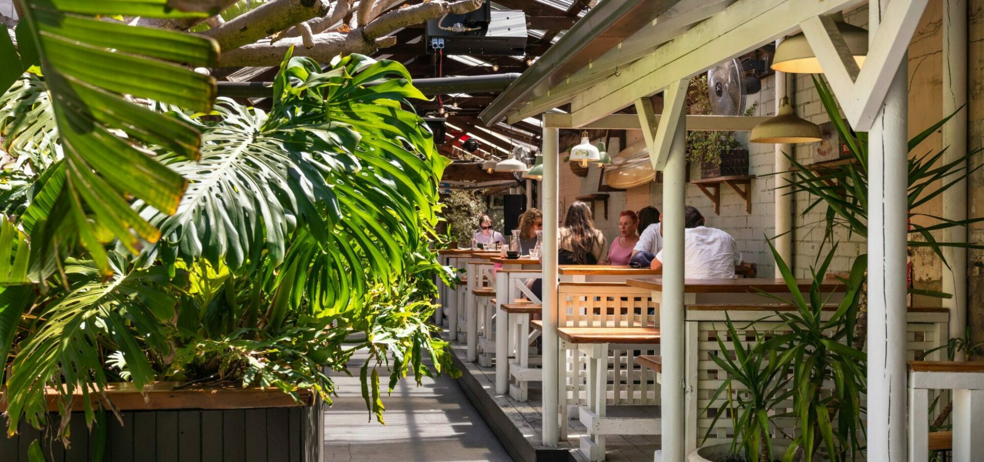 About - Roxies Garden