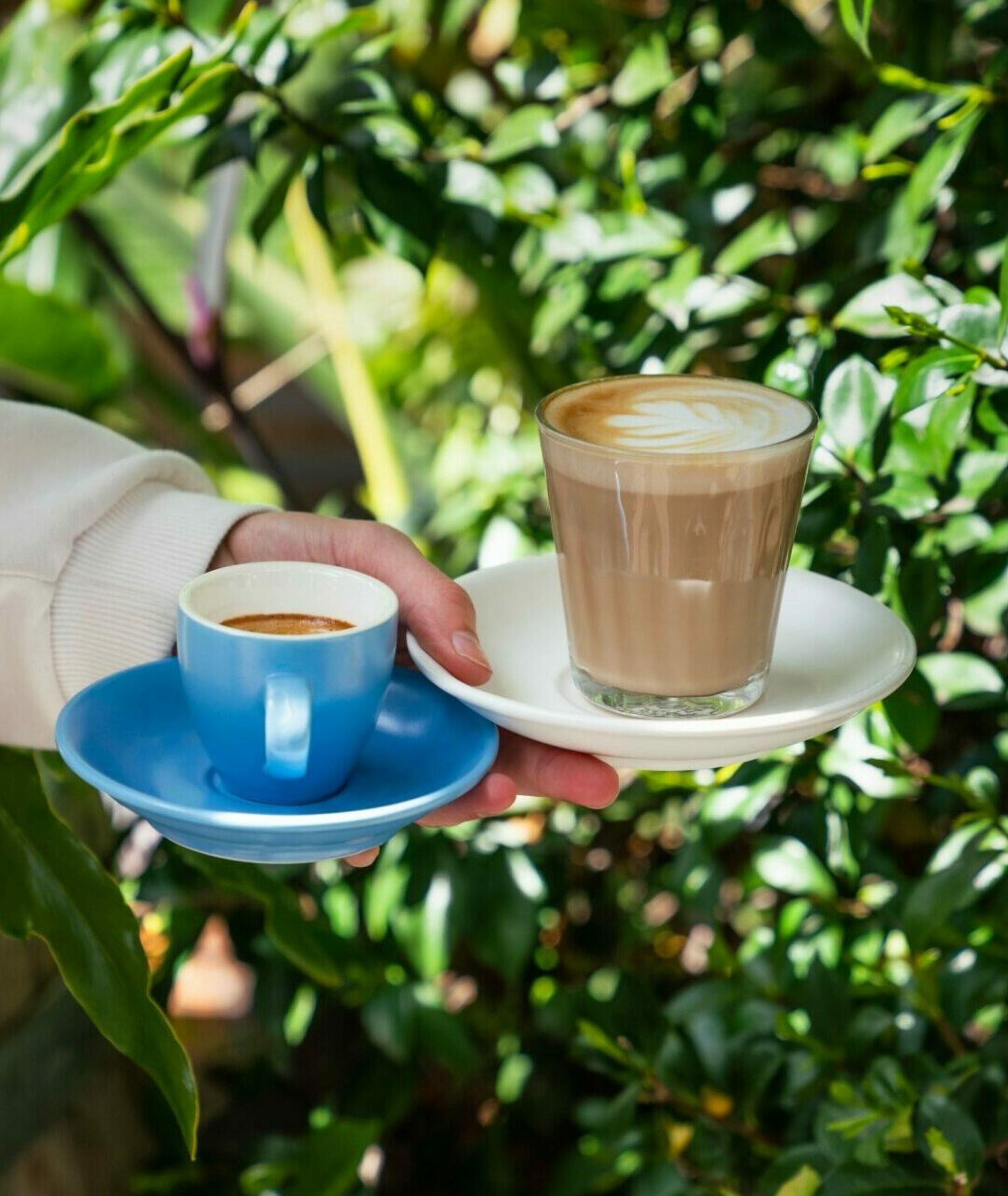 Home - Roxies Garden